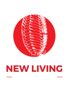 New Living | Real Estate Windhoek